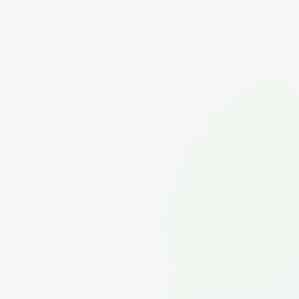 SPRAY 1520 BRANCO FOSCO PLASTICO COLORGIN - Cosama